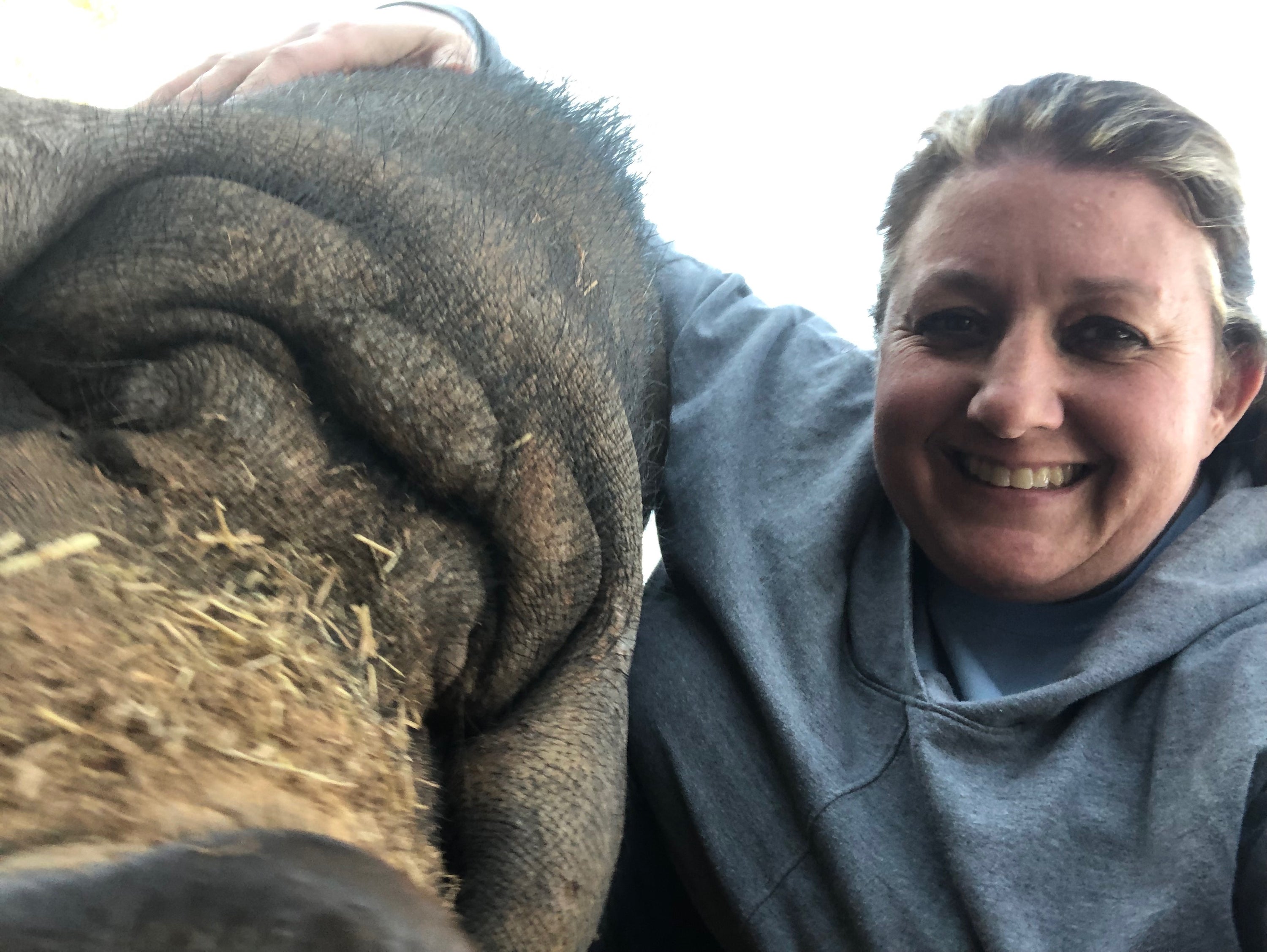 Top 3 Reasons I Choose The Meishan Pig – Jensen Reserve